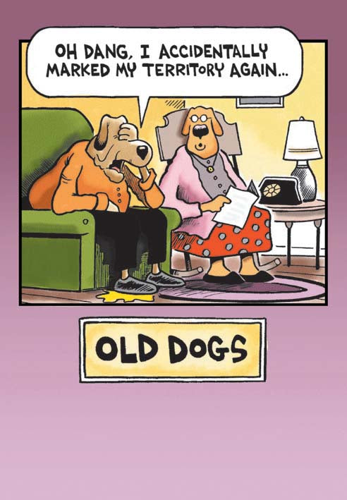 Insanity Streak Humor Collection – Gotham Gifts | Carol Wilson