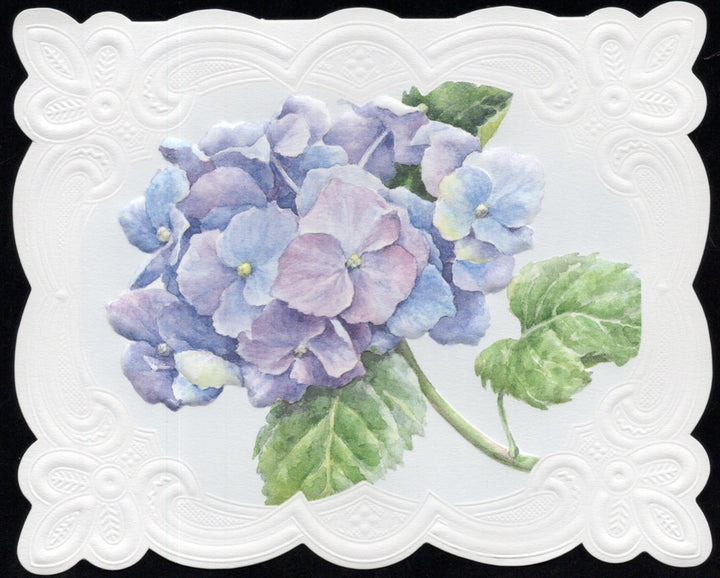 Boxed Note Cards - Portfolios – Gotham Gifts | Carol Wilson